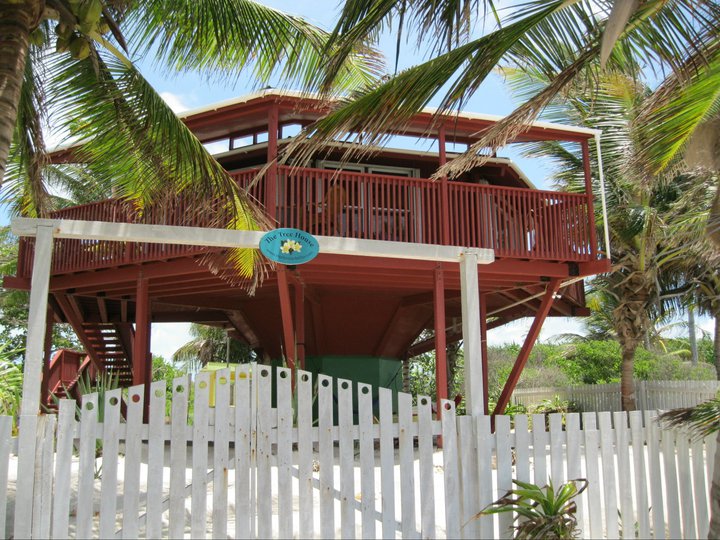 Tree House Belize